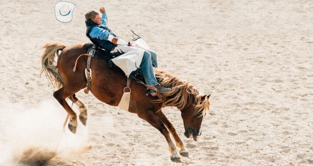 Rodeo 101: Women’s Professional Rodeo Association (WPRA) - Cowboy ...