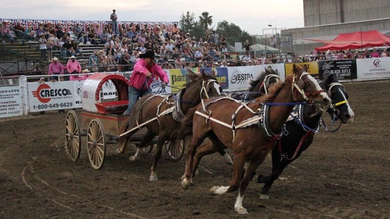Save the Date for Redding Rodeo 2022! | Redding, California