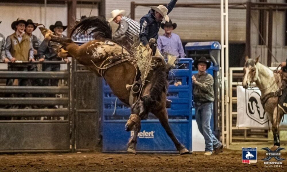 Flagstaff Pro Rodeo 2017