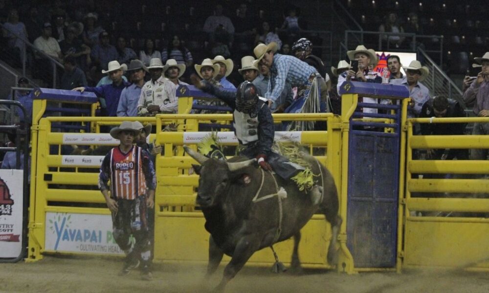 Rise of Bushwacker: PBR 2011 World Champion Bucking Bull | CLN