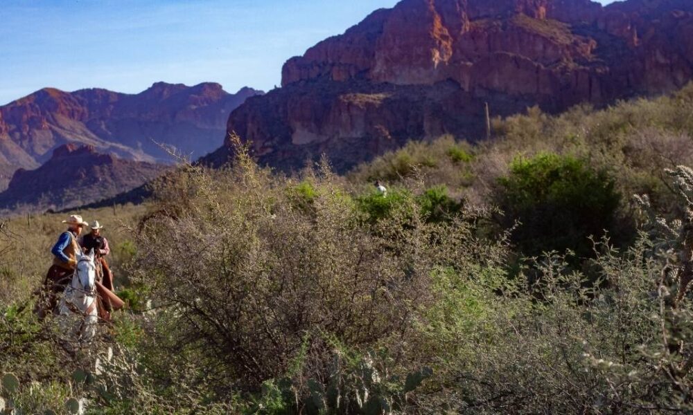 Life on the Ranch: Spring Works at the Quarter Circle U Ranch