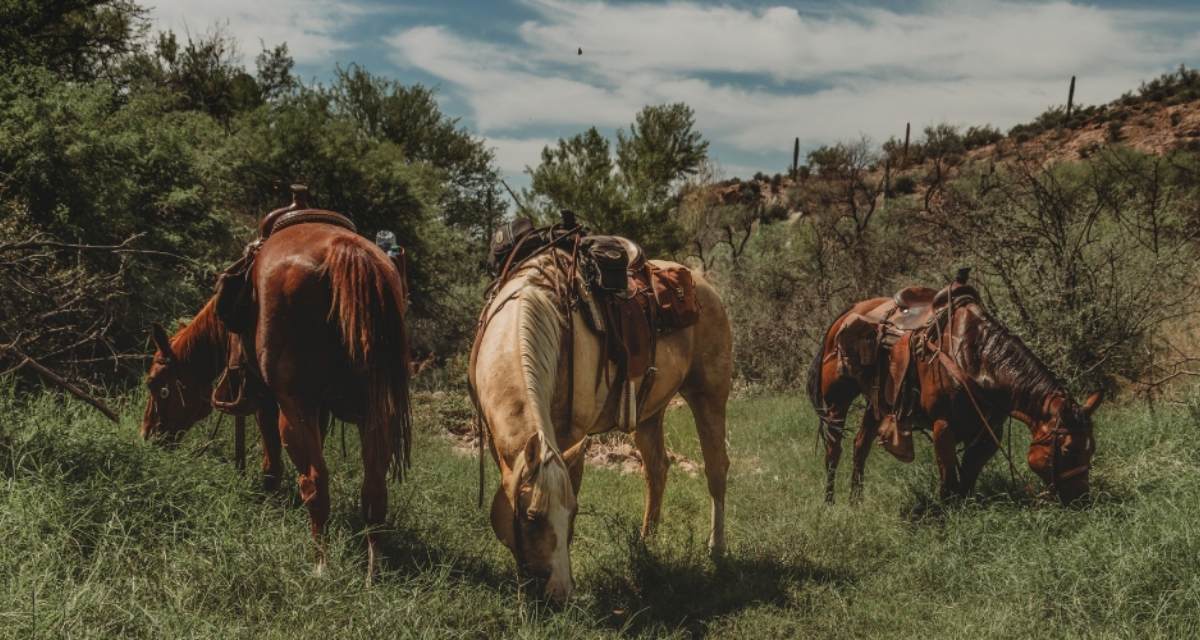Life on the Ranch: Spring Works at the Quarter Circle U Ranch