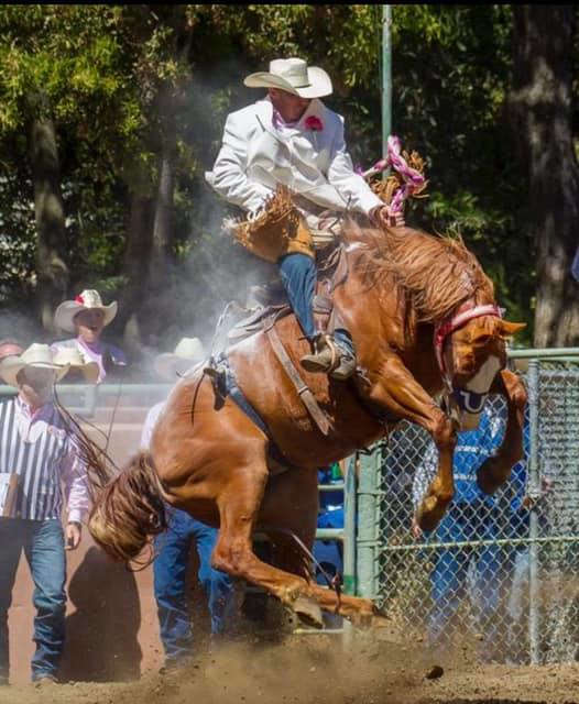 Rowell Ranch Pro Rodeo & Pro Rodeo Cowboy Reunion - Cowboy Lifestyle ...