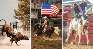 Life as The Wright Brothers (Saddle Bronc Riders) | CLN