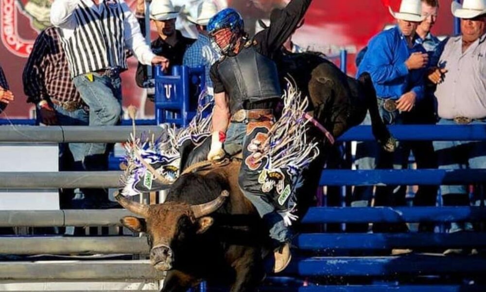 Tuacahn Amphitheater PBR Touring Pro Division 2016