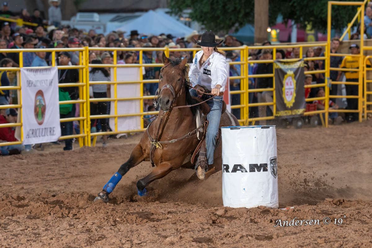 Navajo Pro Rodeo 2024 - Cowboy Lifestyle Network