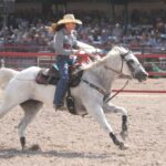 Best Colleges For Bull Riding - Cowboy Lifestyle Network