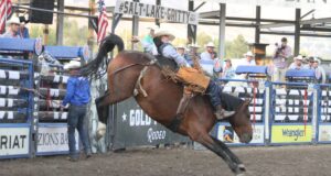 Cowboy Lifestyle Network: The Online Western Enthusiast Social Hub