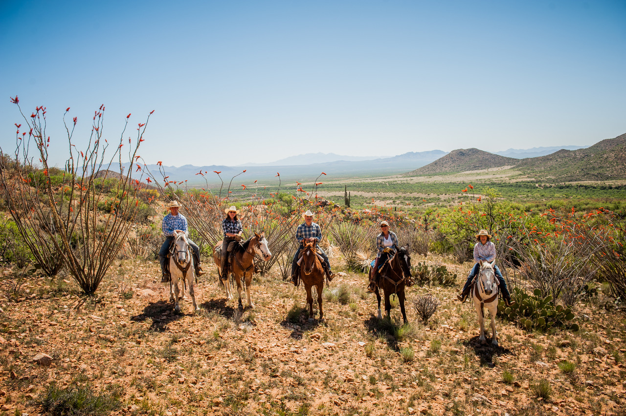 Take a Trip to Visit the Elk Horn Ranch in Southern Arizona