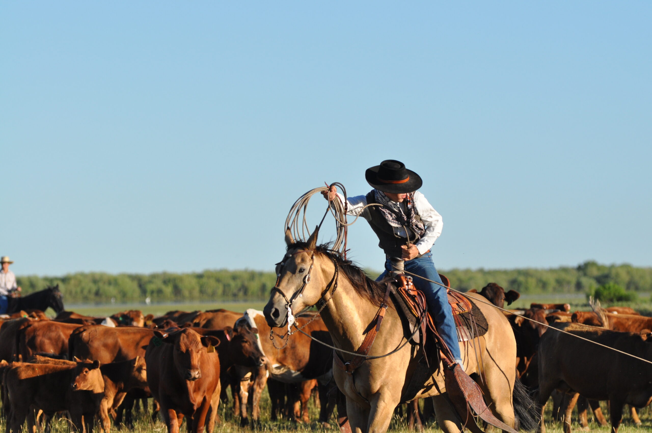 Behind the Reins with Carson James - Cowboy Lifestyle Network