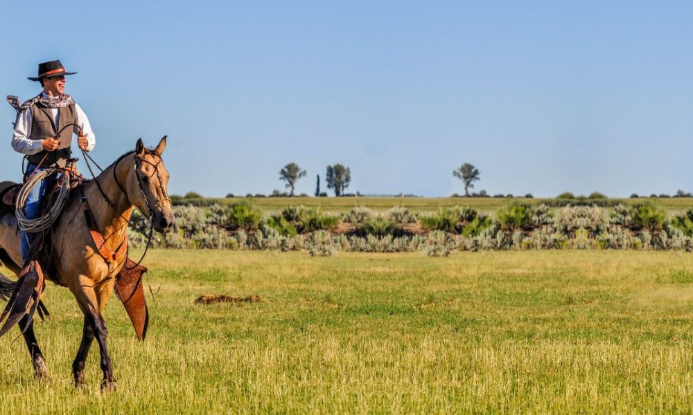 Behind the Reins with Carson James - Cowboy Lifestyle Network