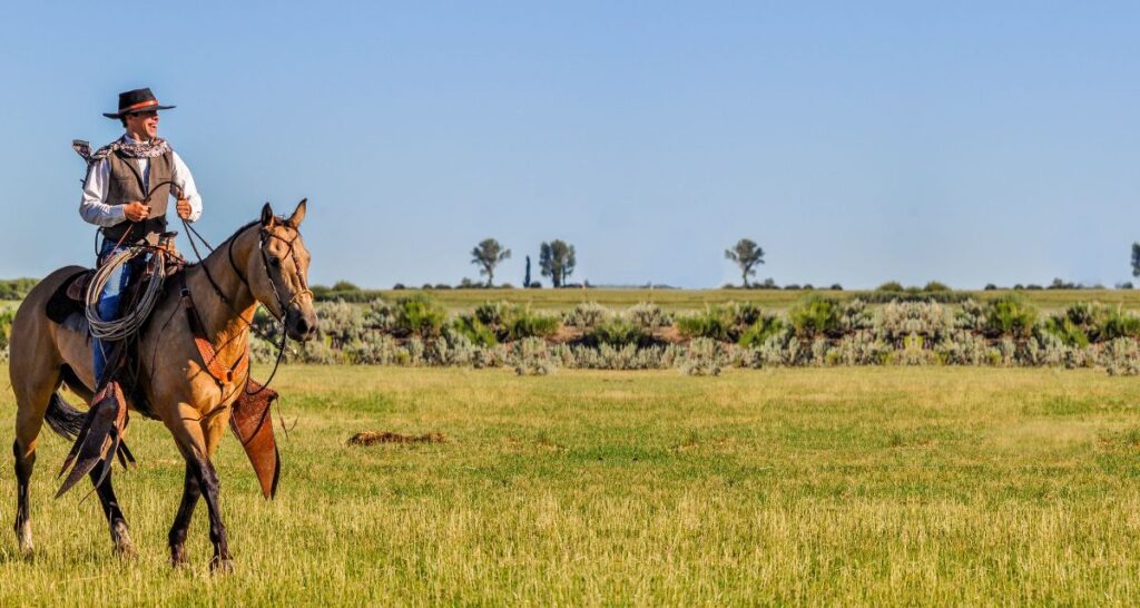 Behind the Reins with Carson James - Cowboy Lifestyle Network