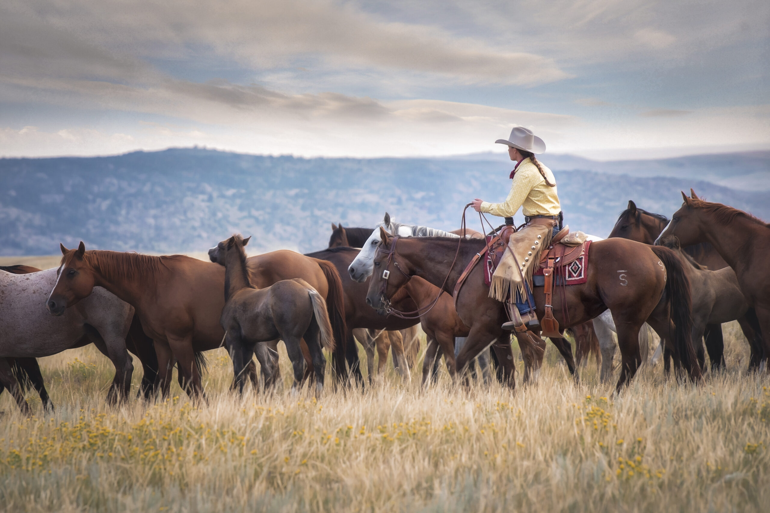 From the Lens of Phyllis Burchett - Cowboy Lifestyle Network