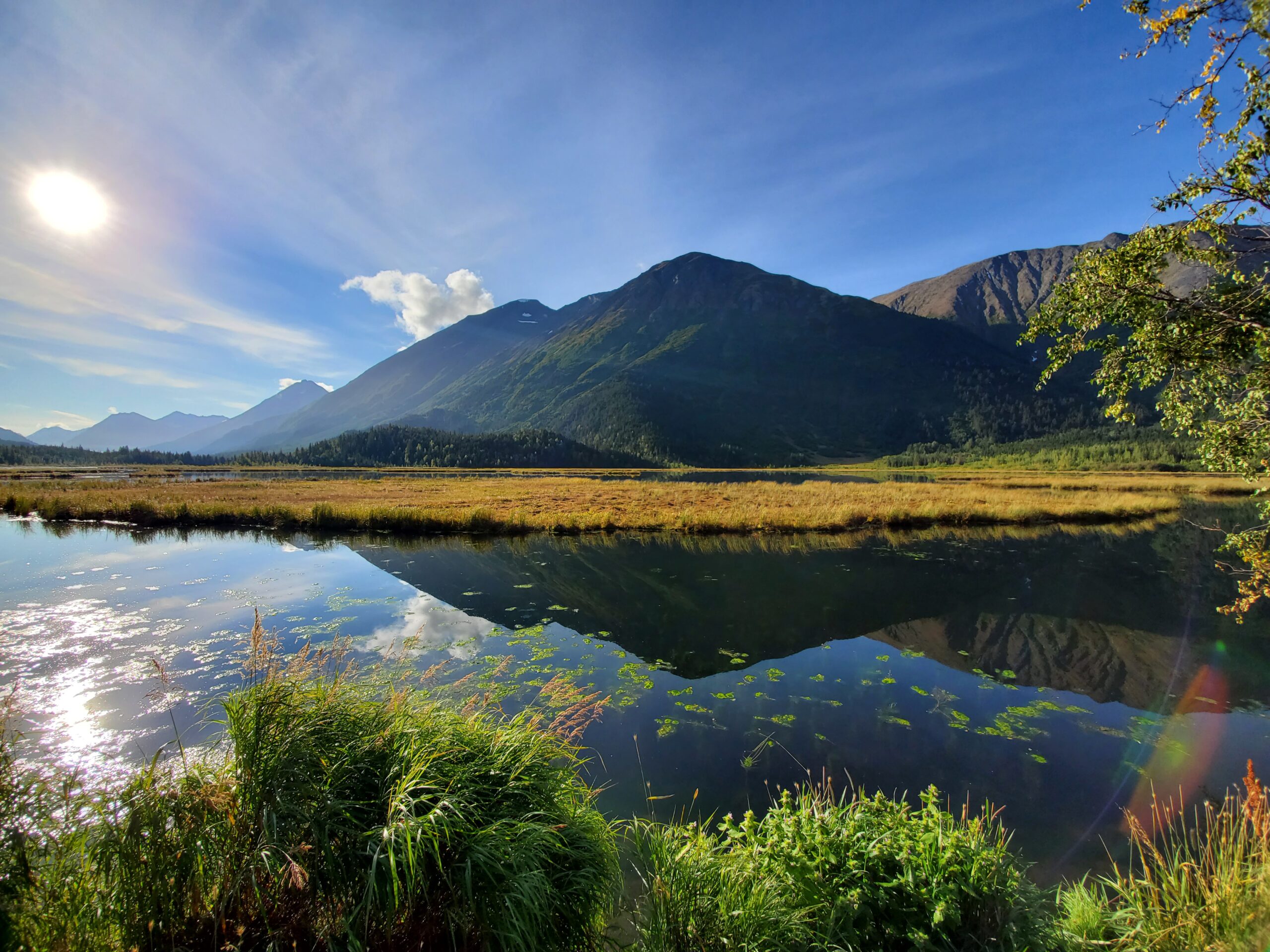 Nicole Cooper | Renowned Traveler of 50 States Shares Her Journey