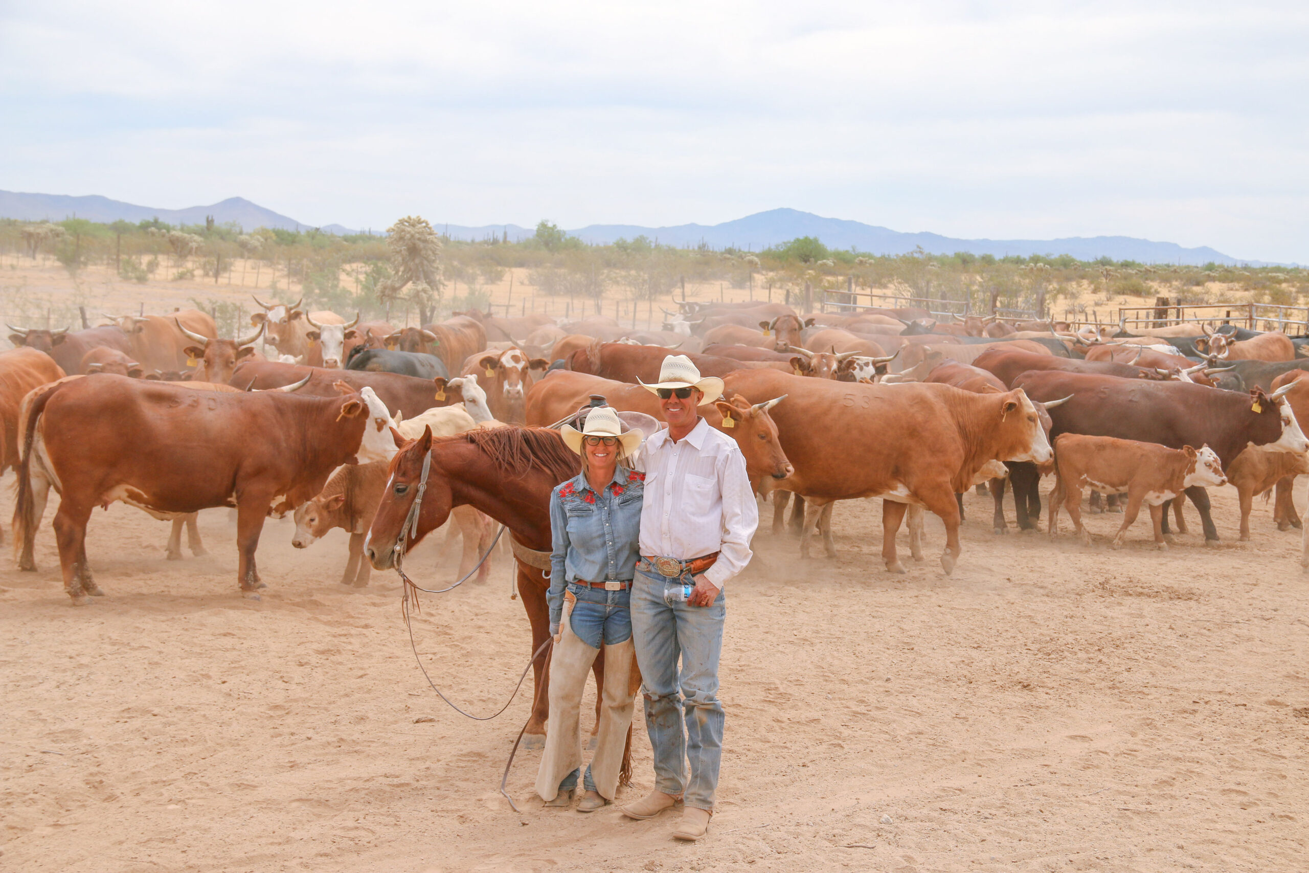 Shop NFR: Rail Three Ranch, Custom Leather Work by Cowgirls for Cowgirls