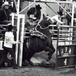 History of Rodeo Royalty - Cowboy Lifestyle Network