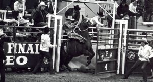 History of Rodeo Royalty - Cowboy Lifestyle Network
