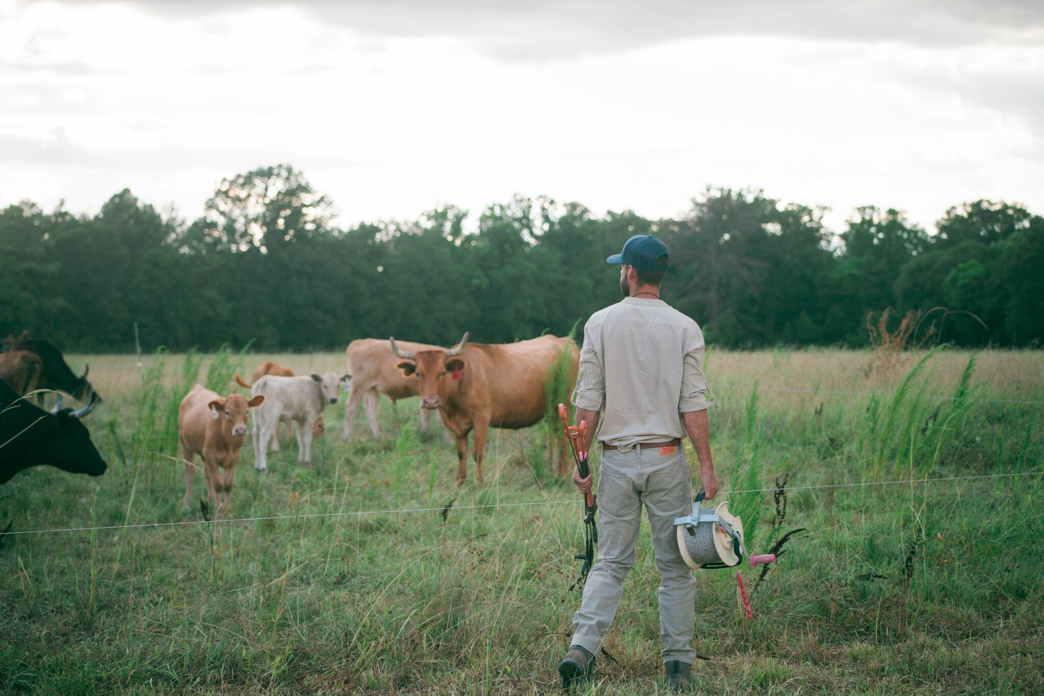A Sustainable Take on Ranching and the Beef Industry