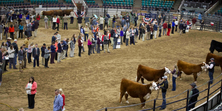 National Western Stock Show & Rodeo 2023 - Cowboy Lifestyle Network