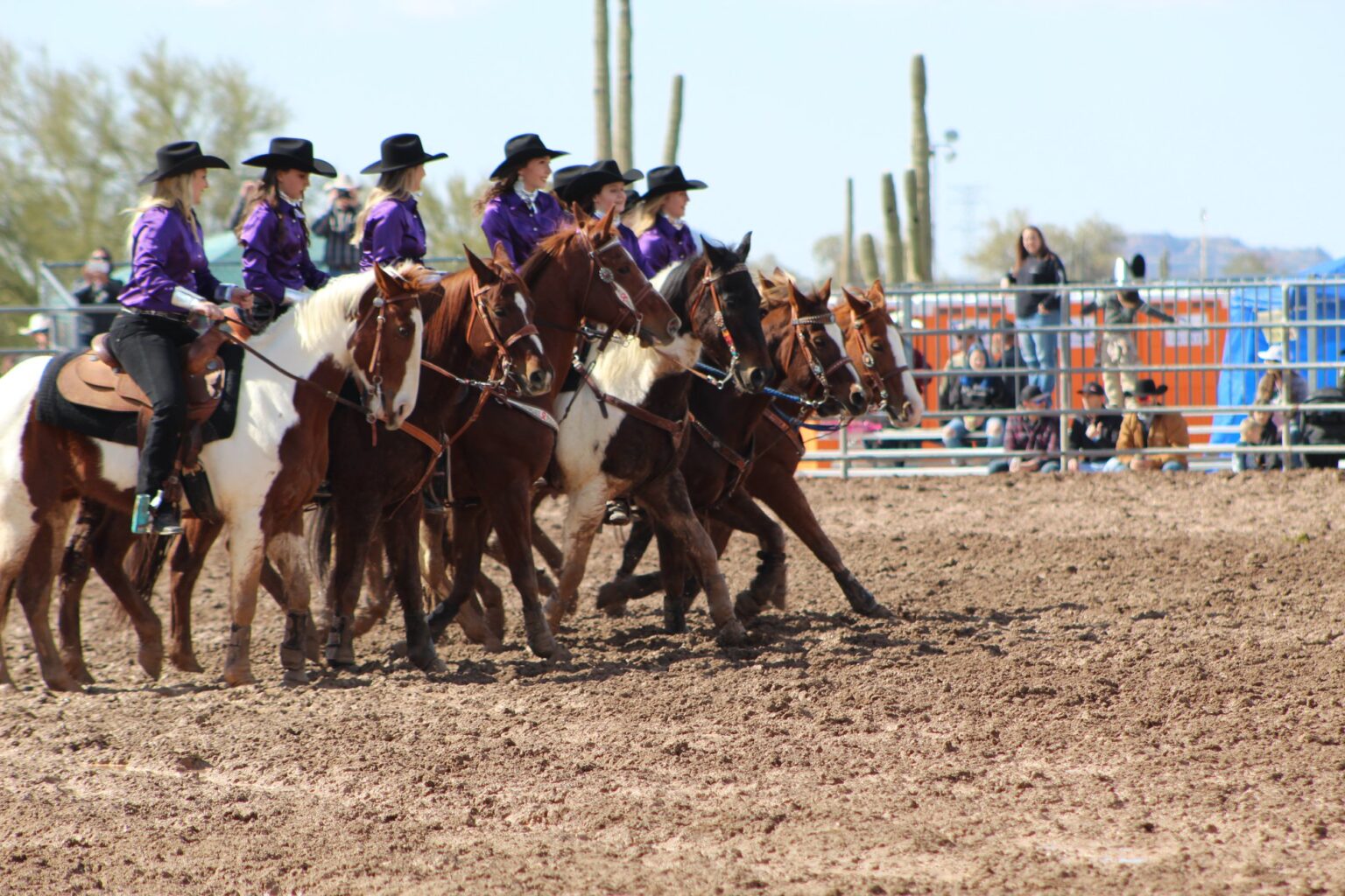 It's Time for the Annual Lost Dutchman Days Rodeo!