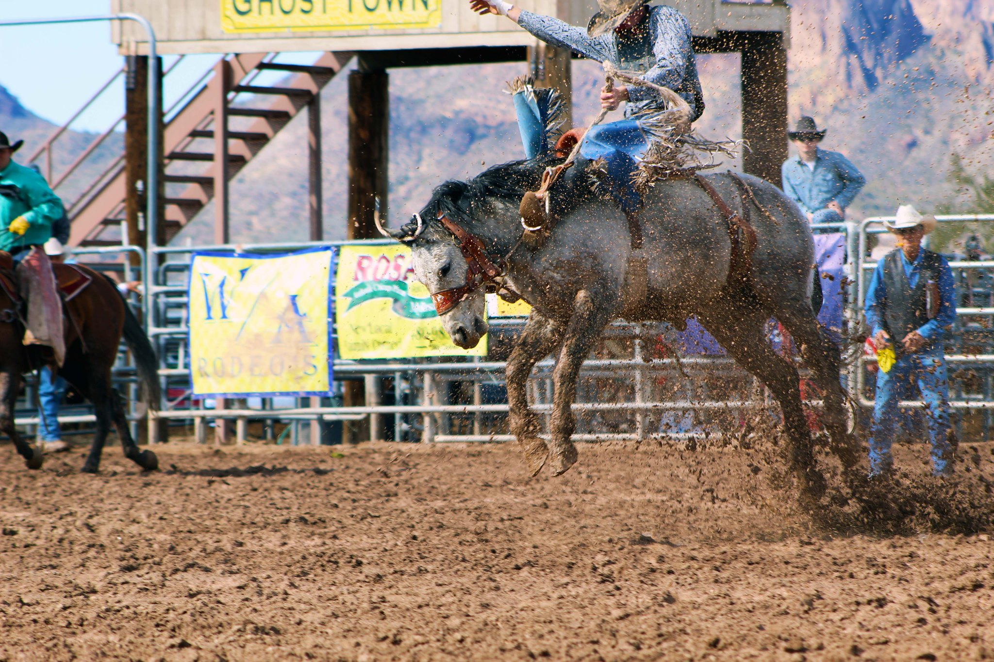 Behind the Chutes: Industry Recap for February