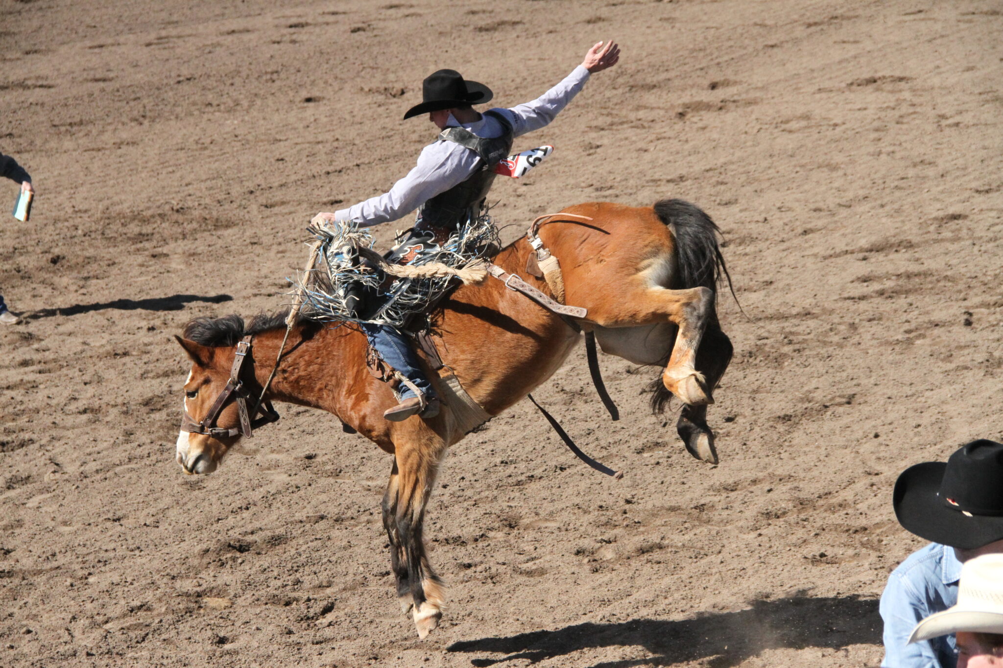 It's Time for the La Fiesta de los Vaqueros Tucson Rodeo 2023