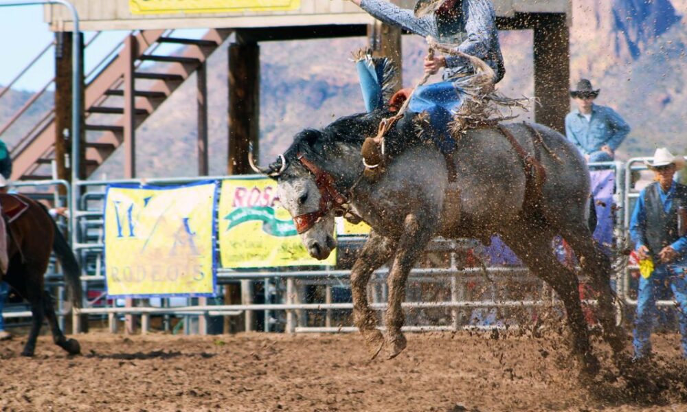 It's Time for the Annual Lost Dutchman Days Rodeo!