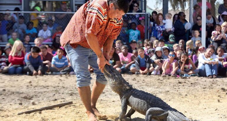 Brighton Field Day Festival 2025 - Cowboy Lifestyle Network