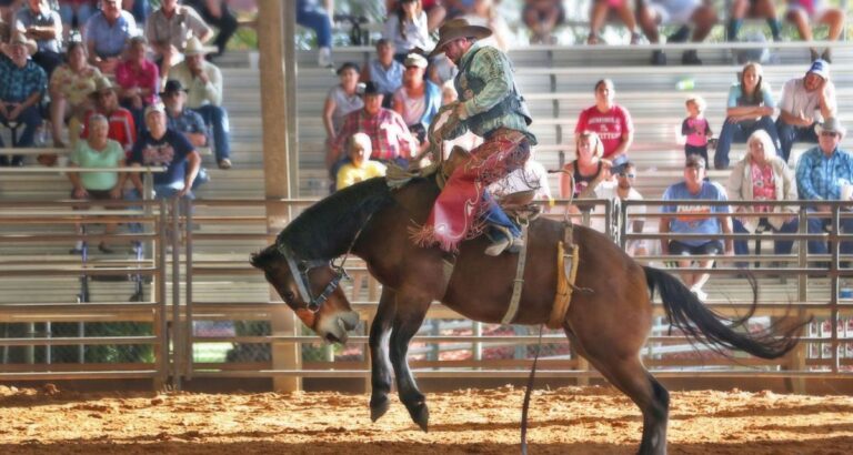 Brighton Field Day Festival 2025 - Cowboy Lifestyle Network