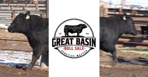 Rodeo 101: Women’s Professional Rodeo Association (WPRA) - Cowboy ...