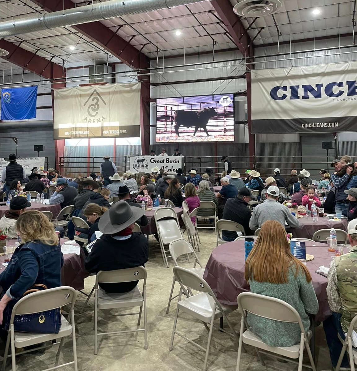 CKP Insurance Sponsors the First Annual Great Basin Bull Sale - Cowboy ...