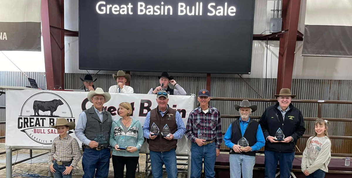 CKP Insurance Sponsors the First Annual Great Basin Bull Sale - Cowboy ...
