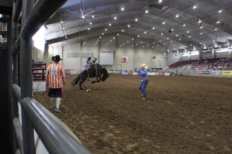 It's Almost Time for the ABC Pro Rodeo 2023! - Cowboy Lifestyle Network