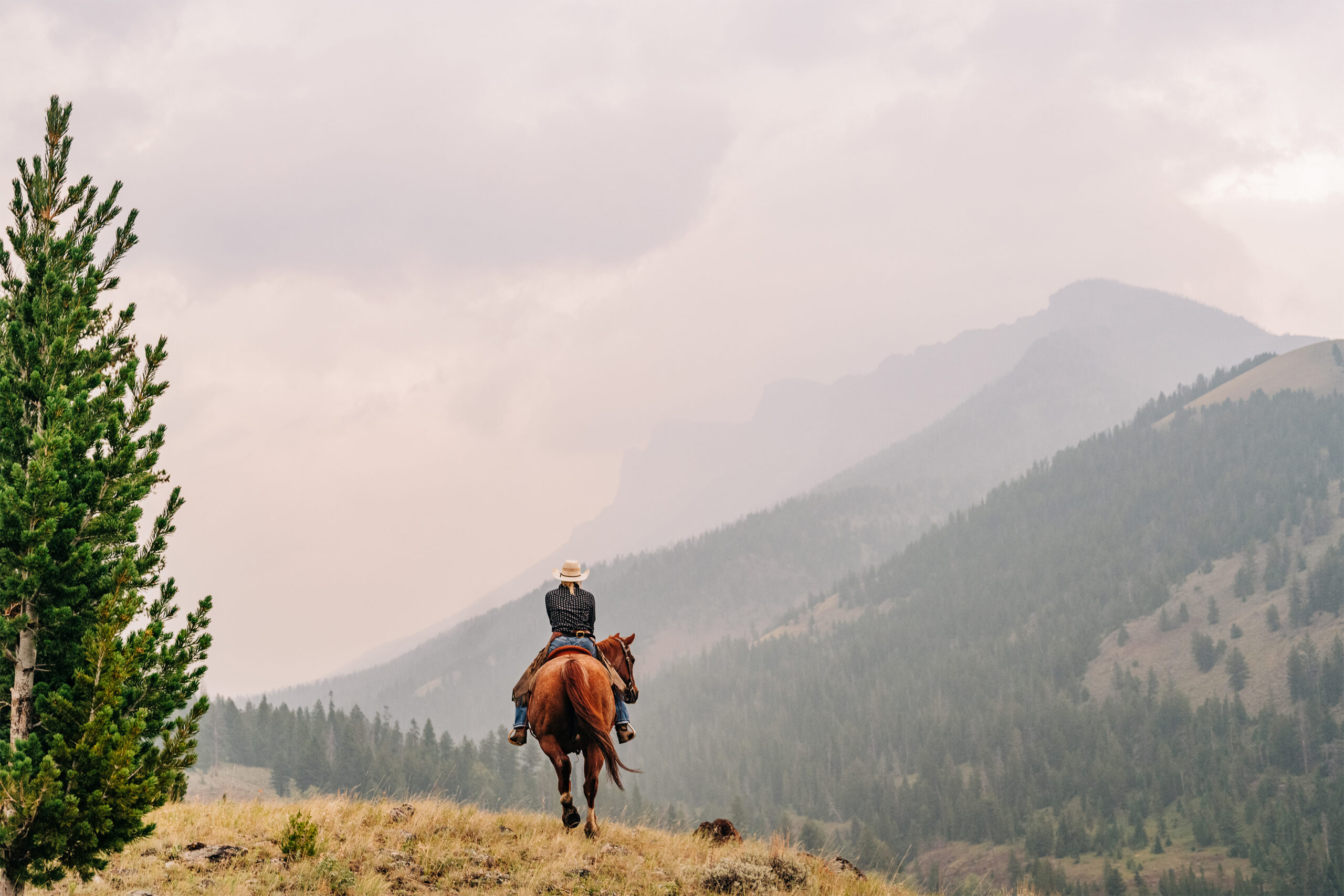 Plan the Ultimate Wild West Getaway in Cody Yellowstone