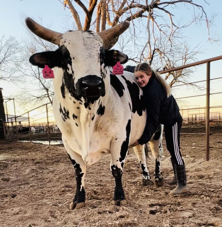 A Labor of Love: A Journey of a Girl and her Bucking Bull