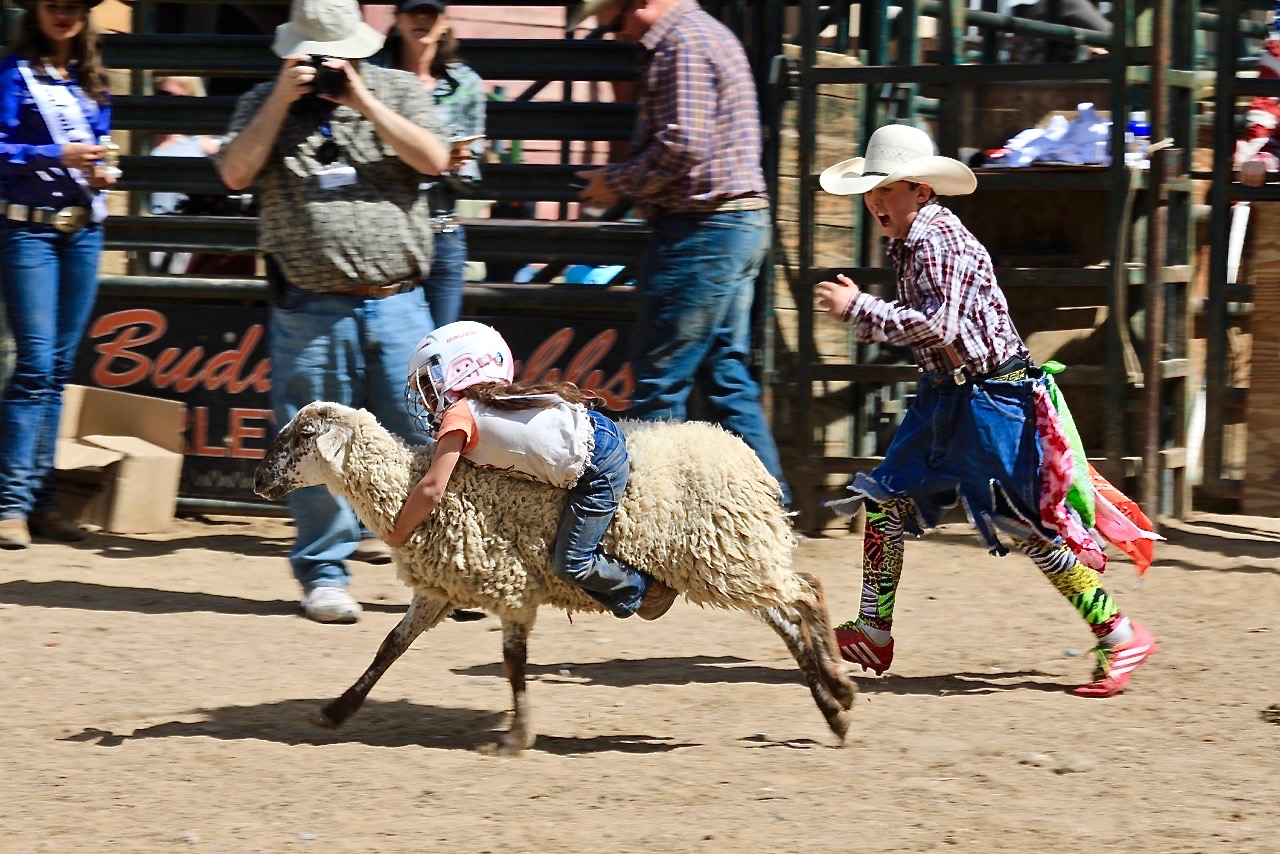 Grand Canyon Professional Rodeo Association Finals 2024 - Cowboy ...