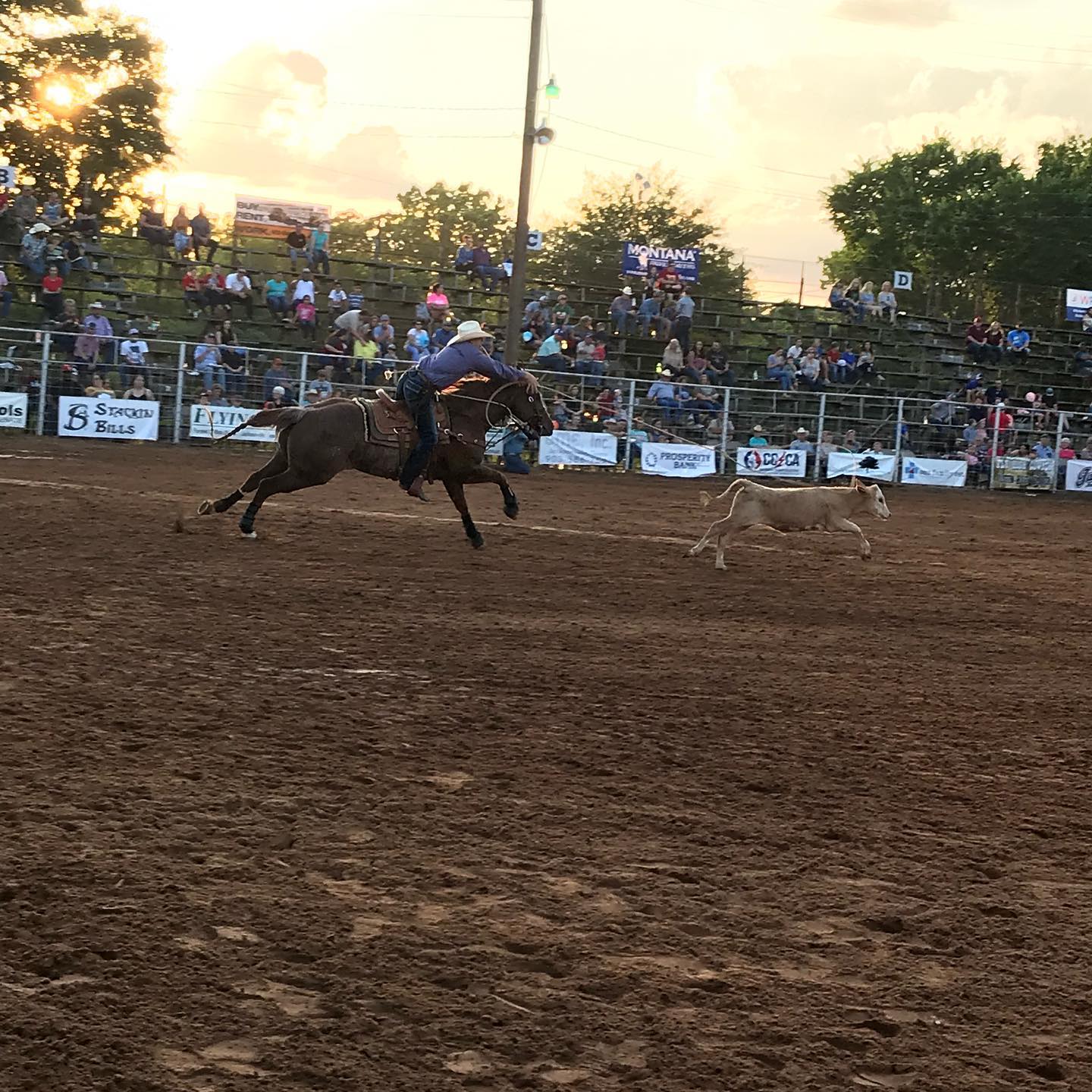 It's Almost Time for the Tops in Texas Rodeo 2023!