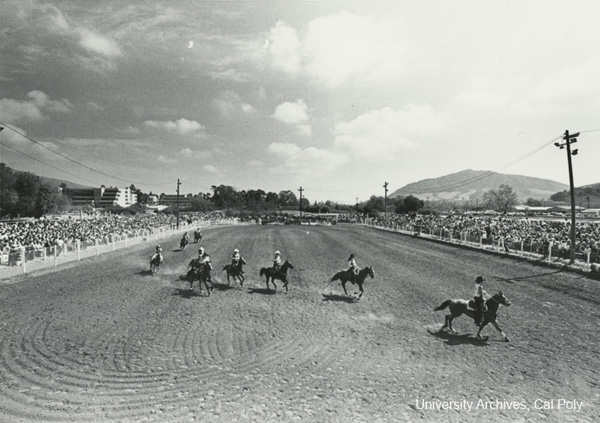 Poly Royal Rodeo 2023 - Cowboy Lifestyle Network