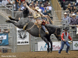 Poly Royal Rodeo 2023 - Cowboy Lifestyle Network