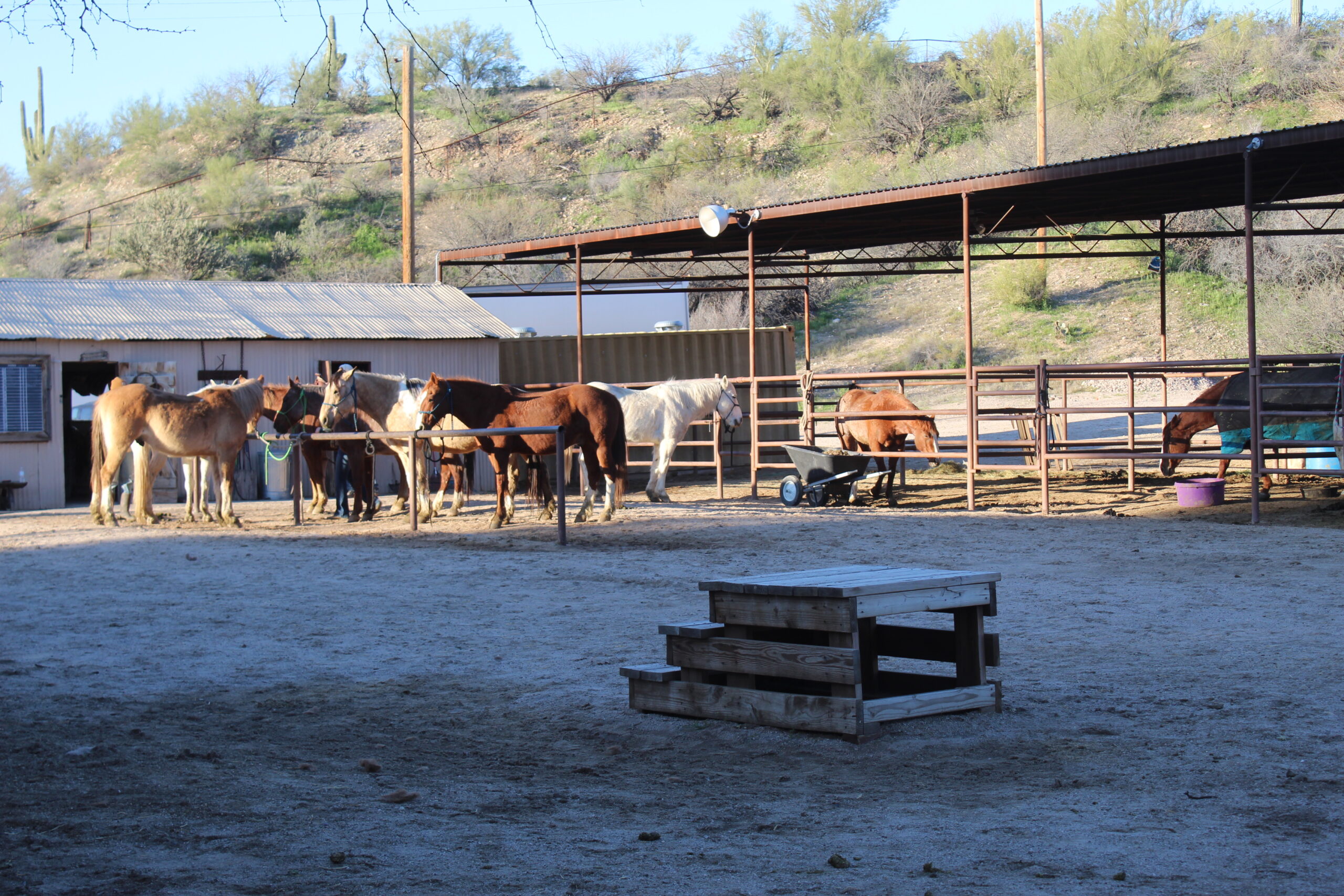 Experience Arizona's First Guest Ranch: Kay El Bar