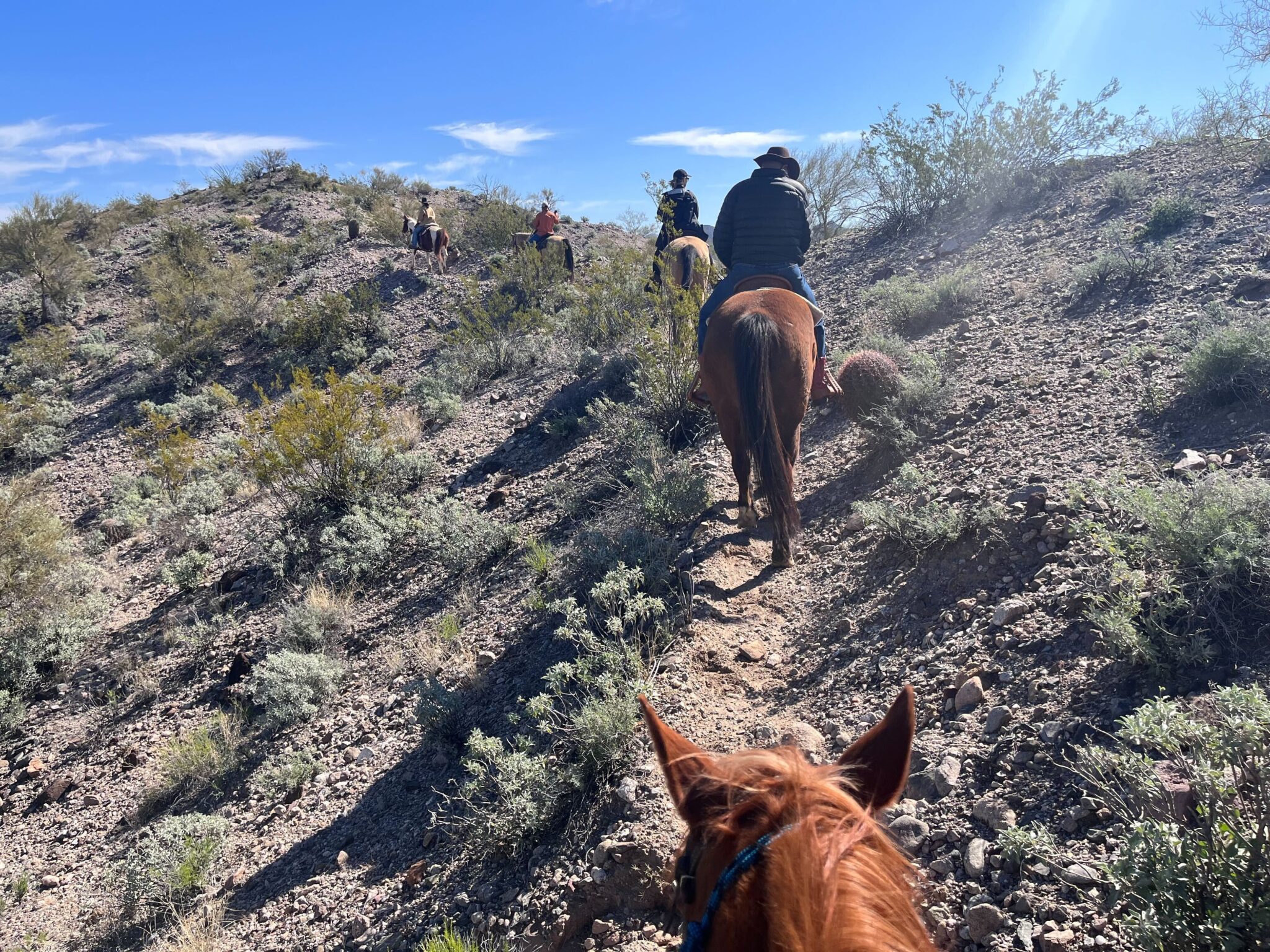 Experience Arizona's First Guest Ranch: Kay El Bar