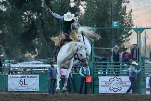Poly Royal Rodeo 2023 - Cowboy Lifestyle Network