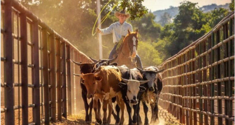 Poly Royal Rodeo 2023 - Cowboy Lifestyle Network