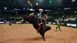 LOCAL PROFESSIONAL BULL RIDING TEAM AUSTIN GAMBLERS STAR IN PRIME VIDEO ...