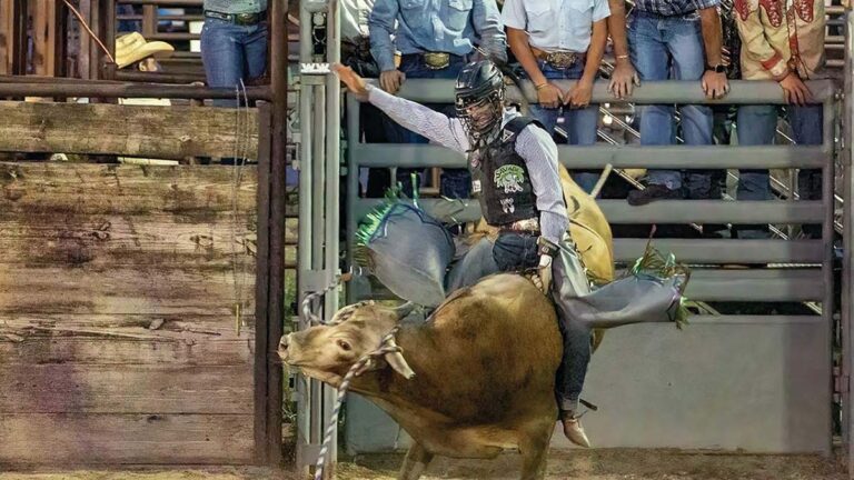 Hell on Wheels Rodeo & Chuck Wagon Dinner in Cheyenne - Cowboy ...