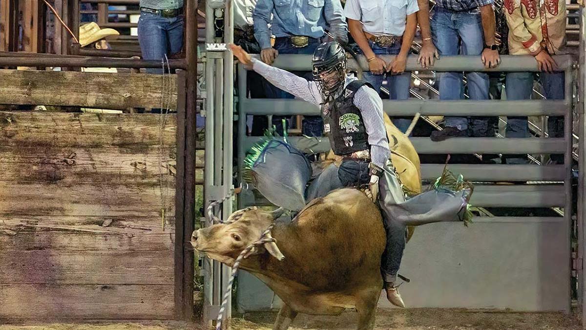 Hell on Wheels Rodeo & Chuck Wagon Dinner in Cheyenne - Cowboy ...