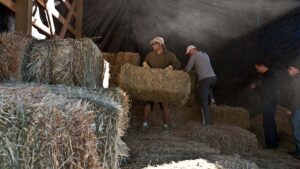 New Options for Cowboy Injuries - Cowboy Lifestyle Network