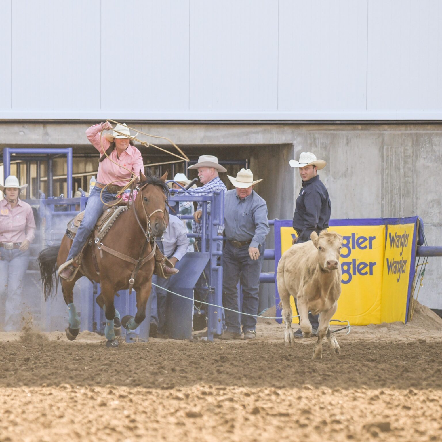 Experience the Wild West Like Never Before at the 2023 Greeley Stampede ...