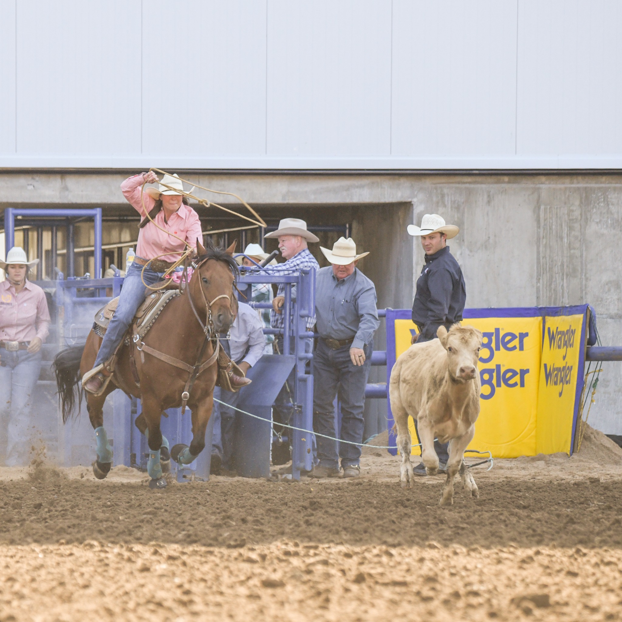 Experience the Wild West Like Never Before at the 2023 Greeley Stampede ...