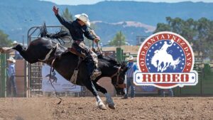 The Old Santa Ynez Days Rodeo is Coming to Town - Cowboy Lifestyle Network